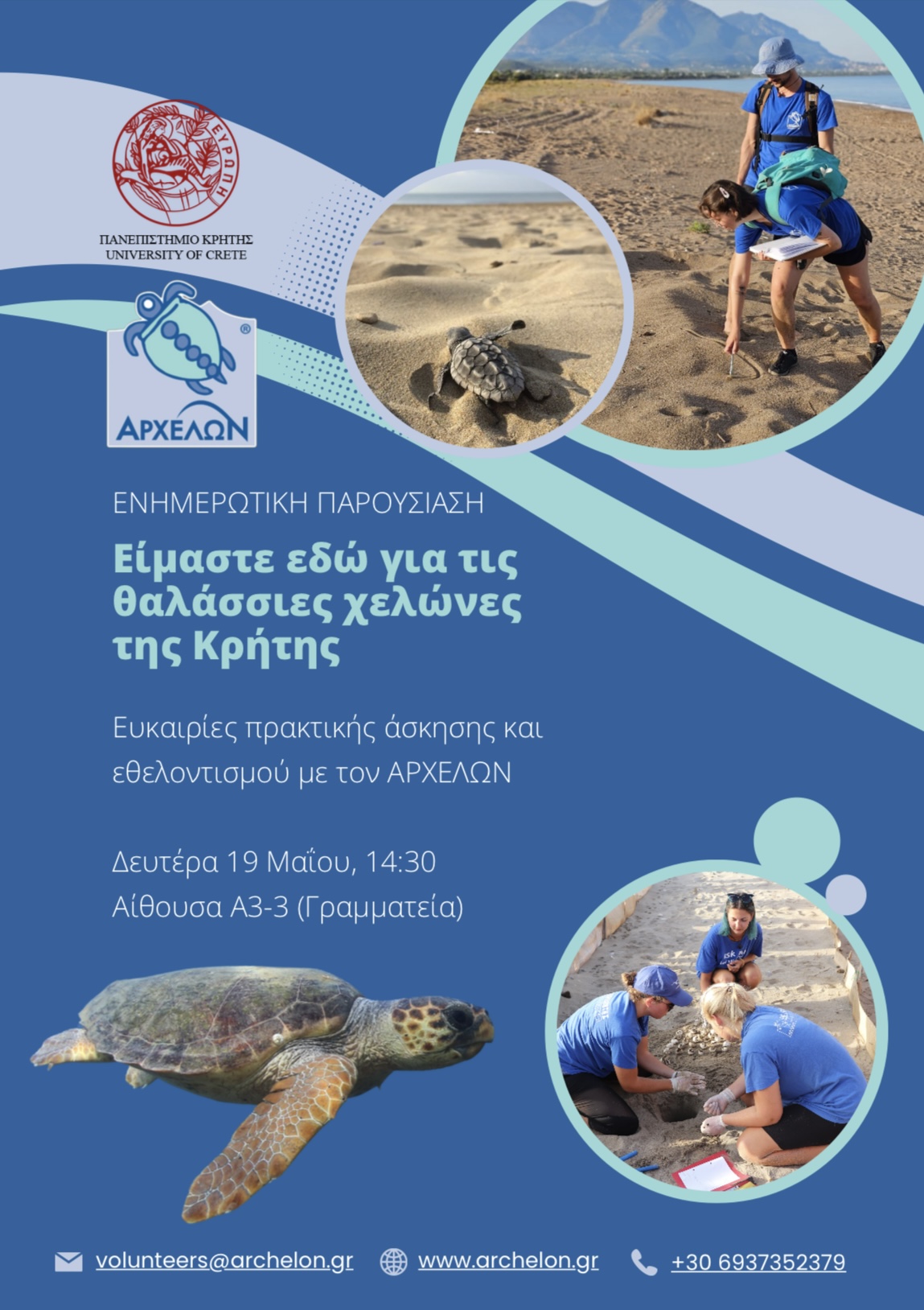 Ενημερωτική δράση για τις θαλάσσιες χελώνες στην Κρήτη – Τμήμα ...